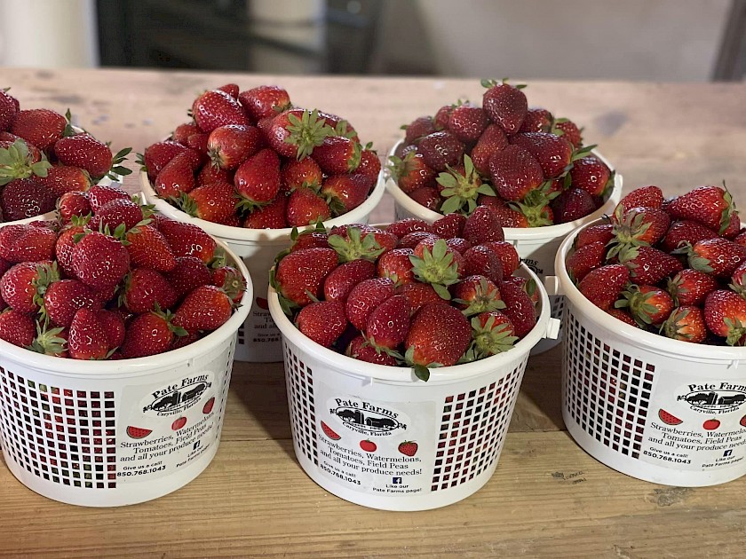 Pate Farms River Market